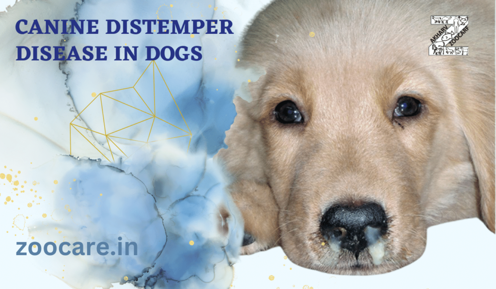 Understanding Canine Distemper: A Comprehensive Guide for Indian Dog ...